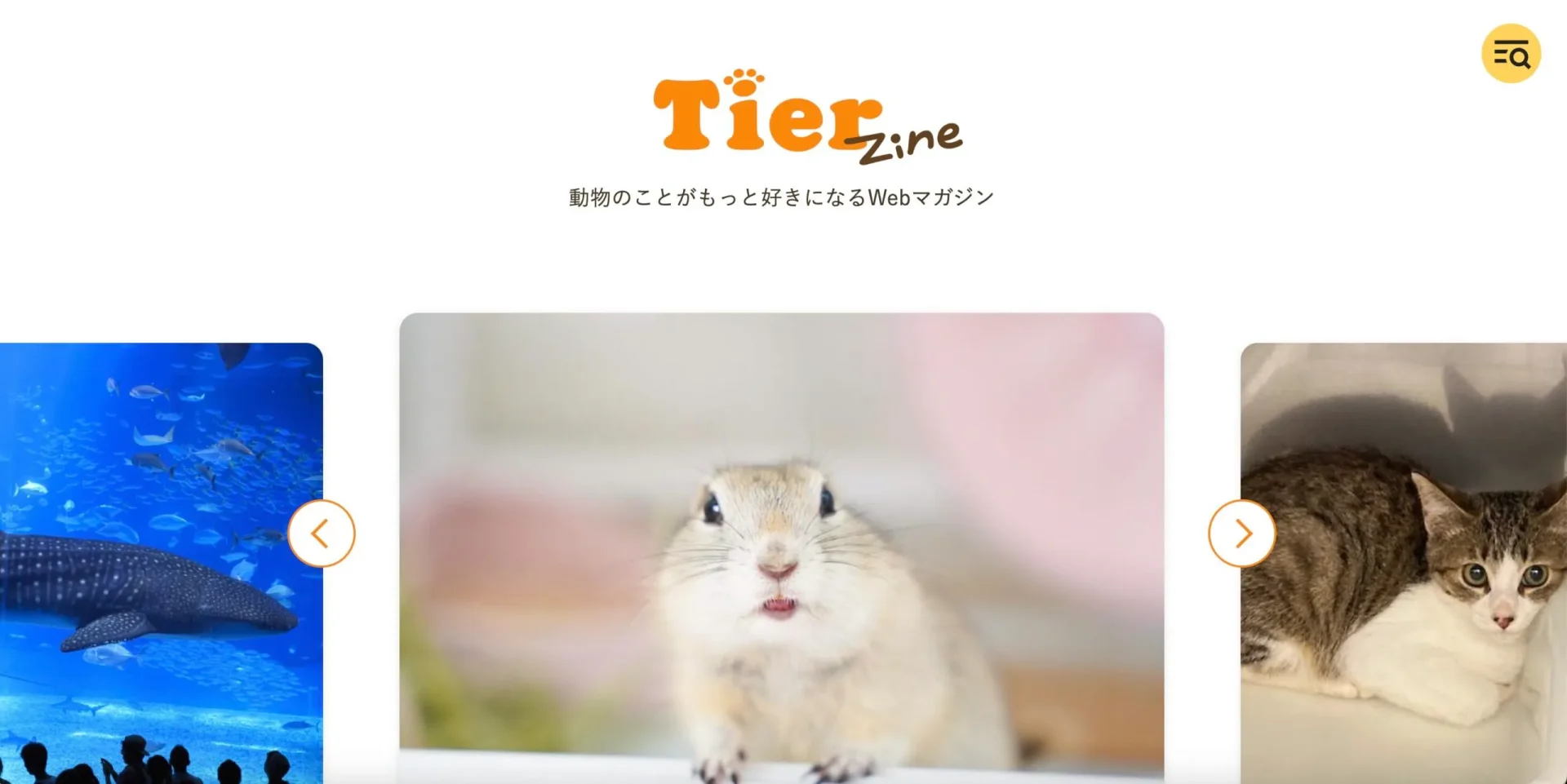 TierZine様メディアサイト構築｜香川のホームページ制作・デザイン｜明確な料金プランで理想を形に・自由なデザイン依頼｜JIYUNA